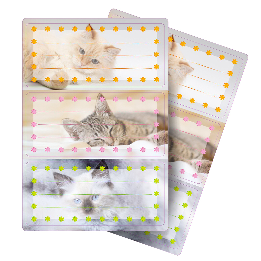 Daffer.sk - Zošitové štítky Vario 6ks, Mačky glitre